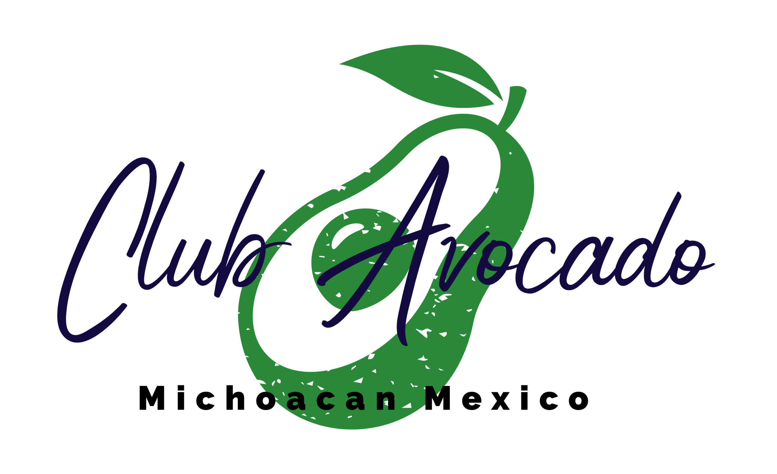 Avocado Varieties: A Guide to Different Types of Avocados - clubavo.com